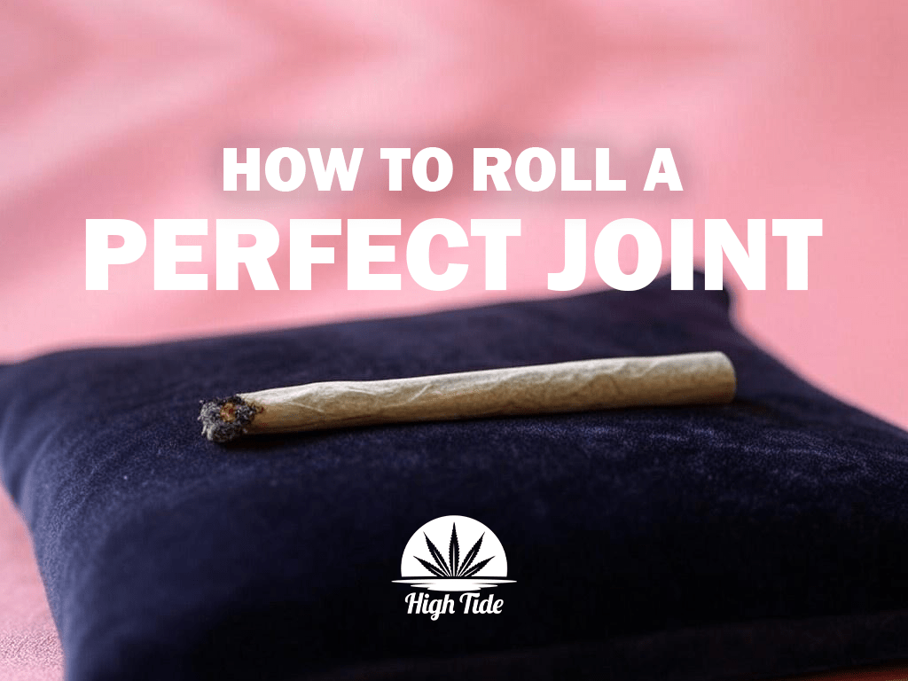 How to Roll the Perfect Joint: Step-by-Step Instructions for Beginners ...