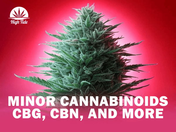What Are Minor Cannabinoids? Exploring CBG, CBN, and More – High Tide